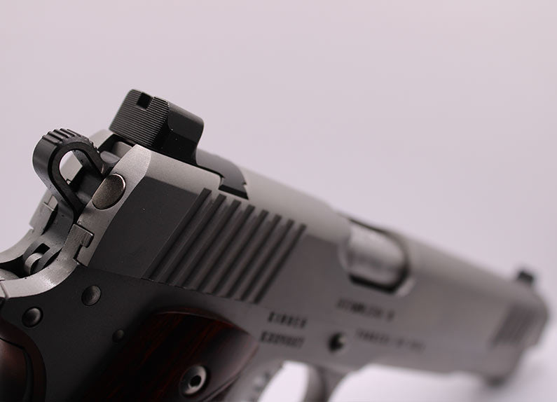 Tag Precision - Versatile Sights for Every Environment